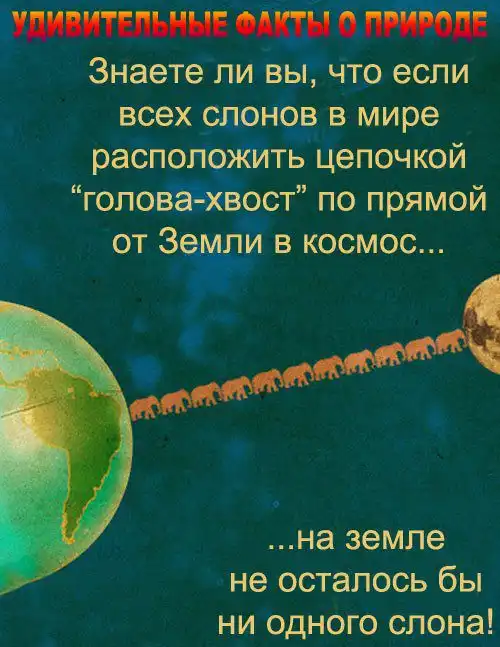 Забавные факты о природе | uCrazy.org