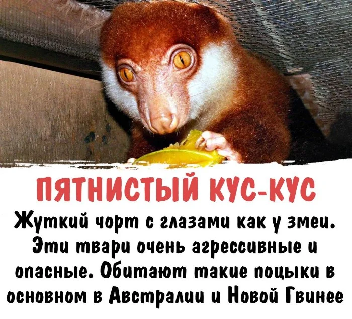 Интересная биология #7 | uCrazy.org
